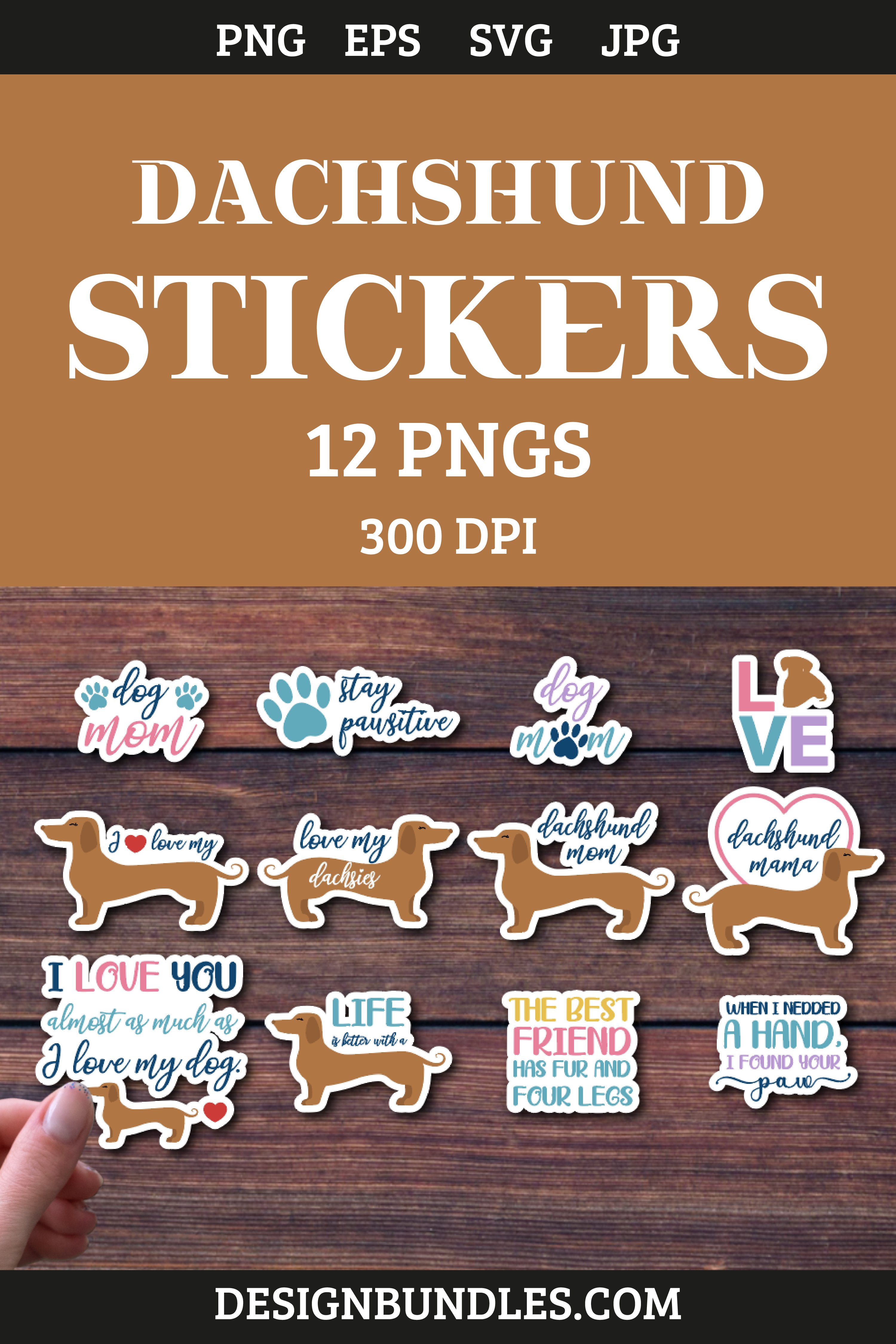 Dogs stickers, dog best friend, dachshund stickers PNGs