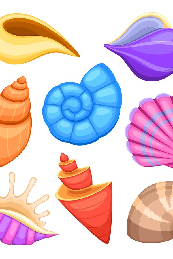 Ocean cockleshells. Cartoon sea shells vector collection