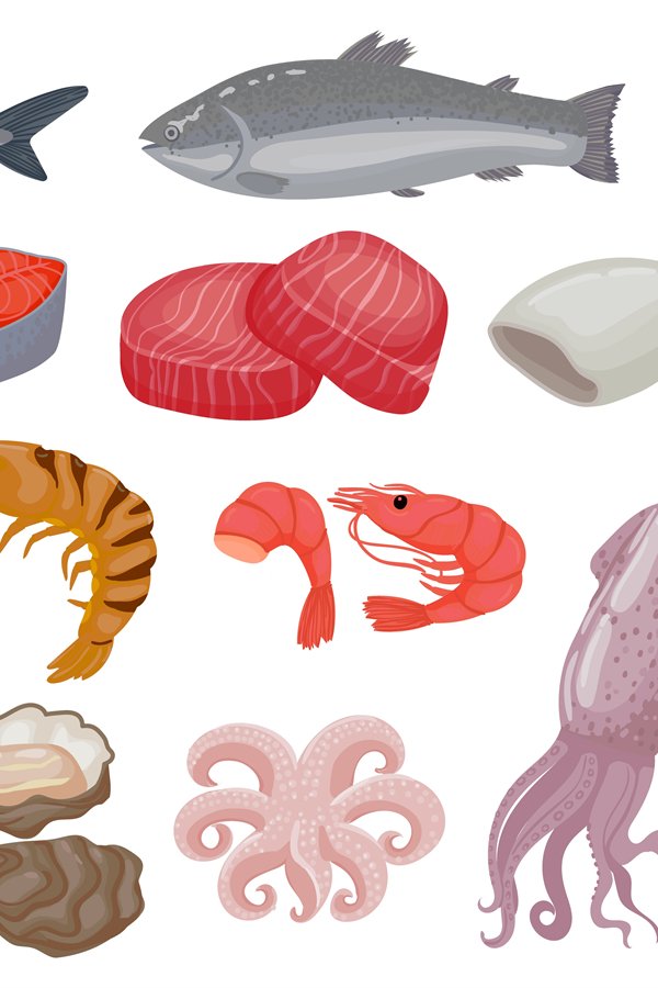 Cartoon raw seafood, fish, fresh salmon, lobster and squid.