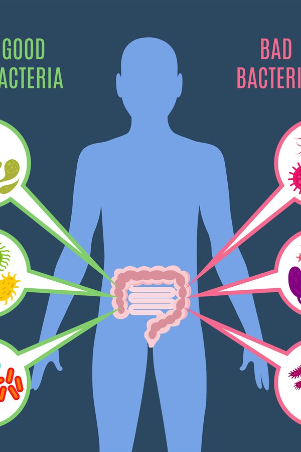 Intestinal flora gut health vector concept with bacteria and