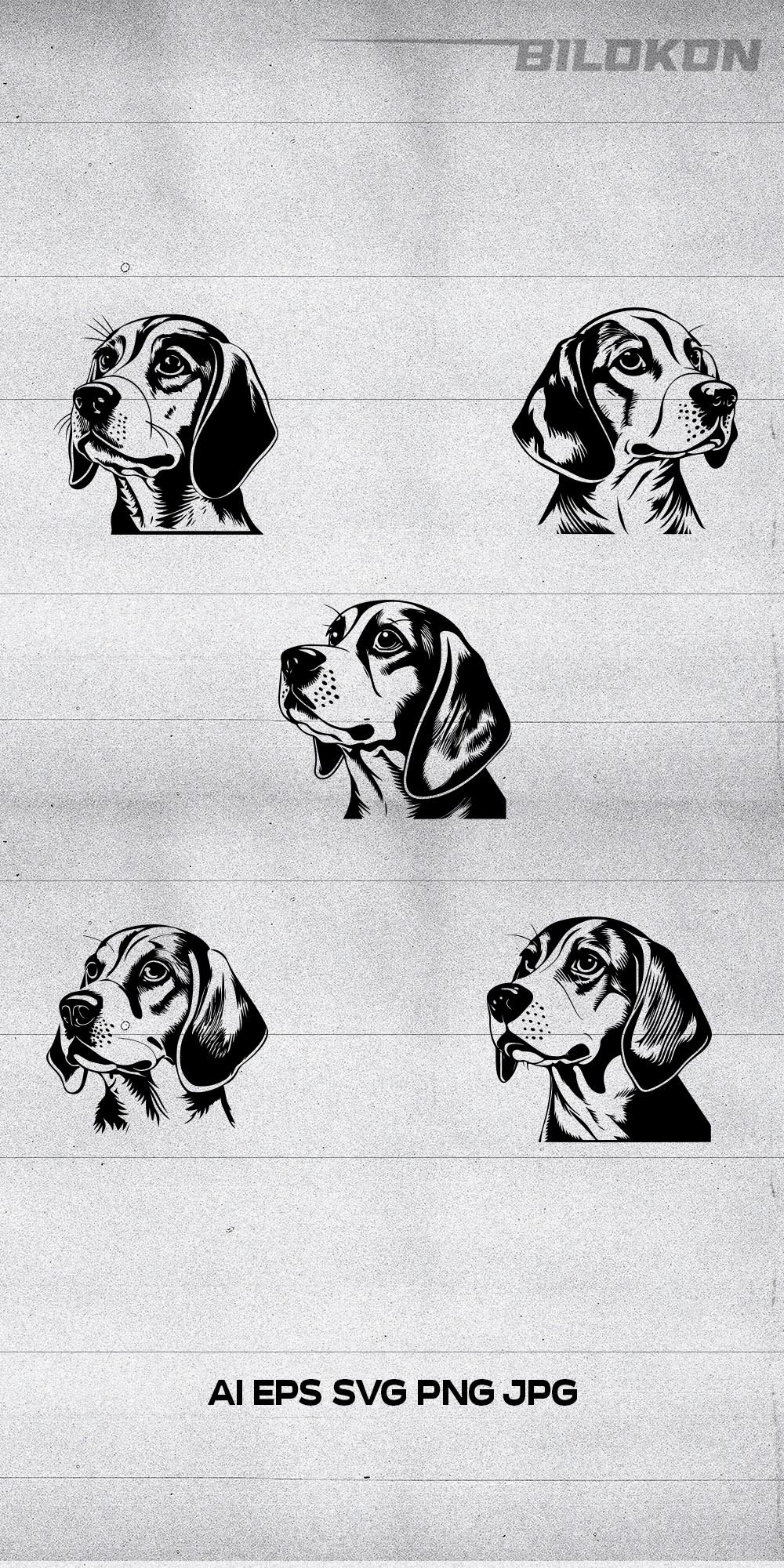 Beagle head, SVG, Vector