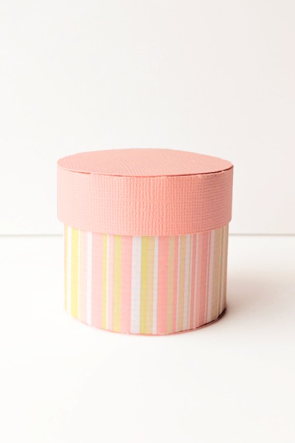 Round Box with Lid SVG Design