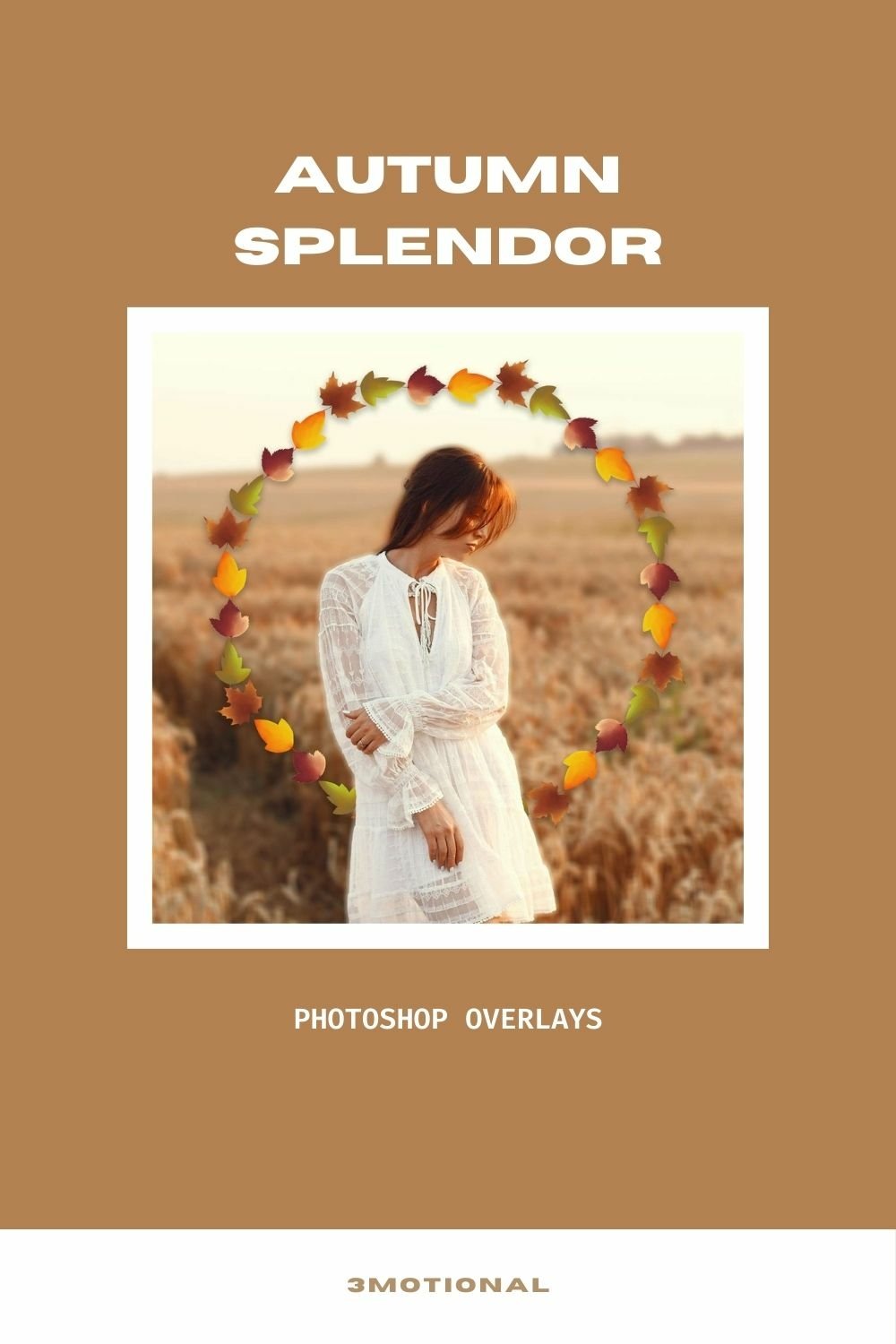 50 Autumn Splendor Overlays
