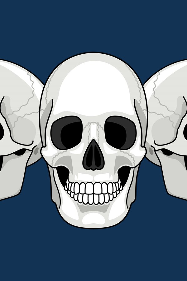 Skull head profile. Human skulls profiles picture, front and