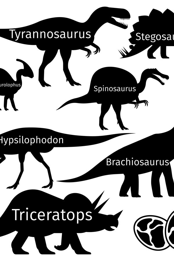 Types of dinosaurus vector silhouettes isolated on white bac