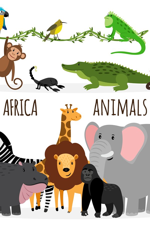 Cartoon exotic Africa animals