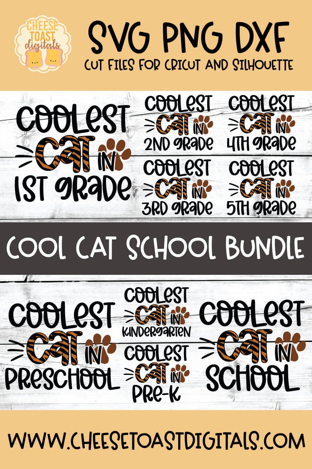 Back to School SVG | Cool Cat School Bundle