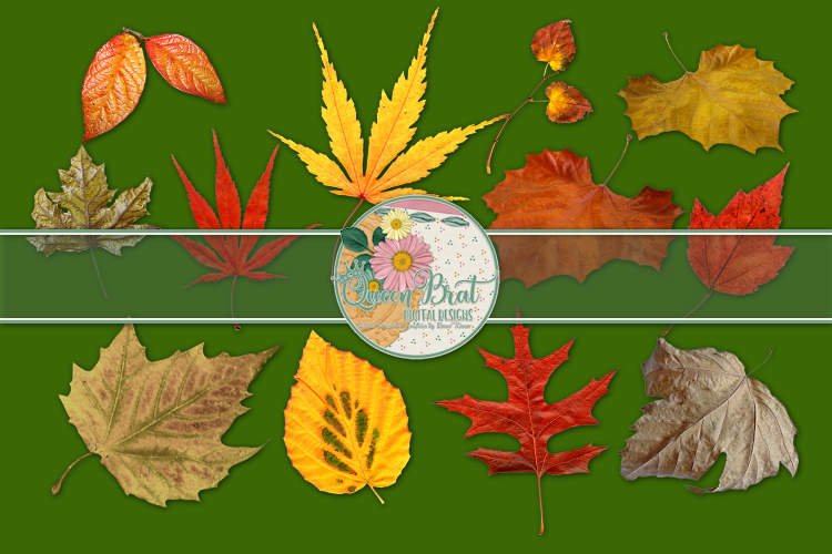 Autumn Leaves Pack 1