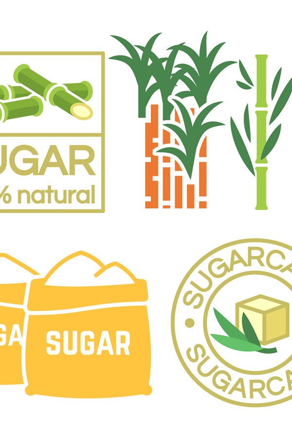 Sugar and sugar cane labels, icons vector illustration