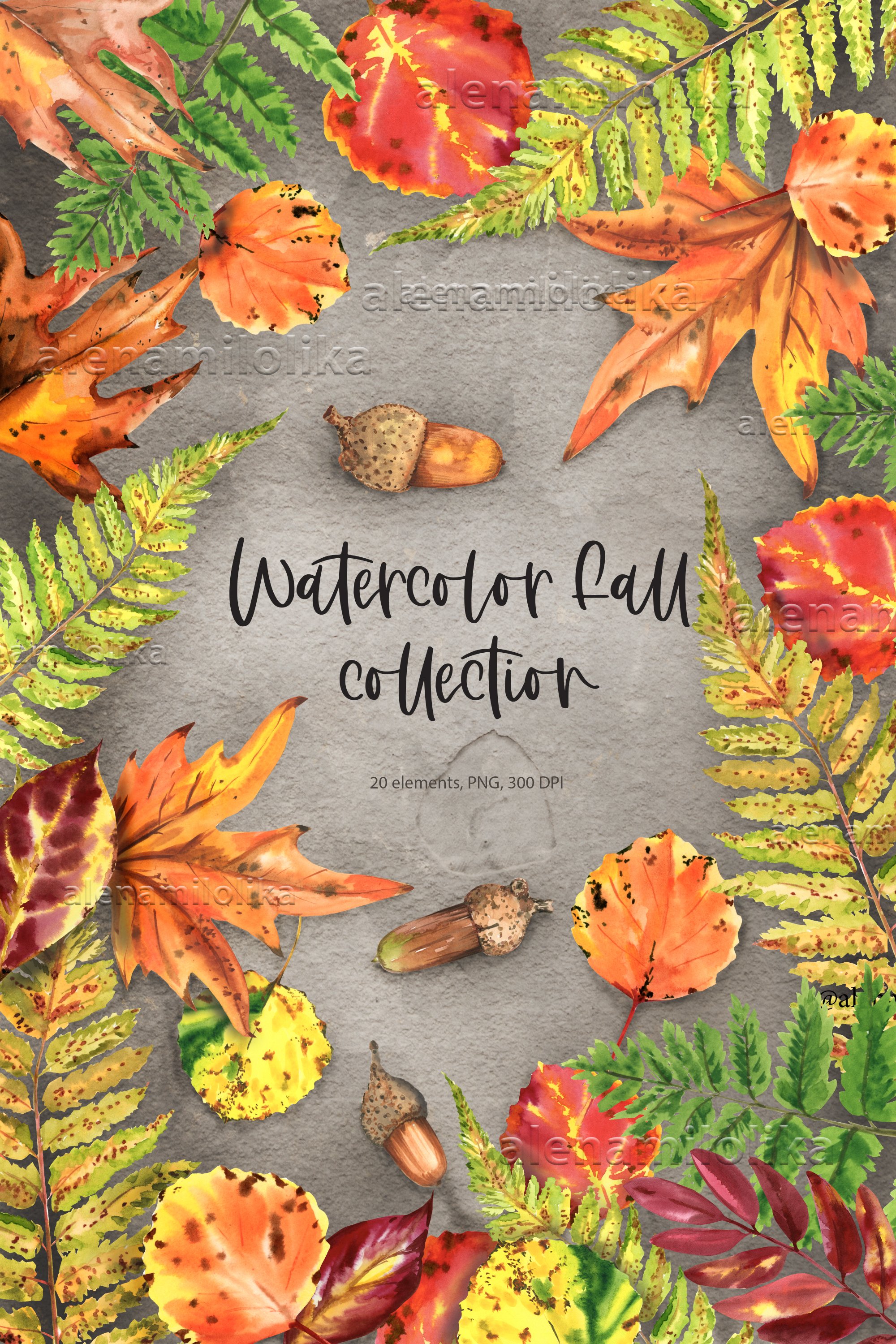 Watercolor fall clipart. Autumn leaves collection
