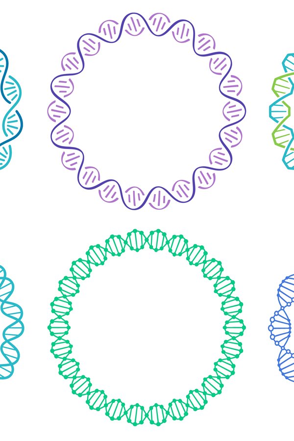 DNA spiral frame set. Human genome helix isolated on white b
