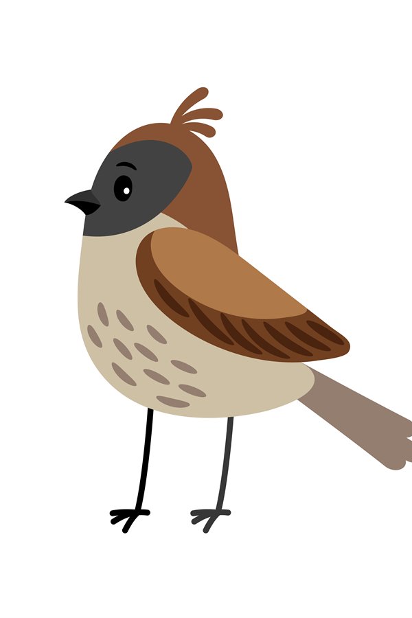 Sparrow funny cartoon bird