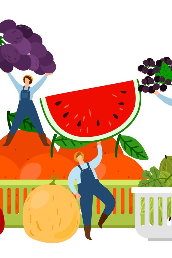 Farmers and fruits. Harvest time vector illustration. Fresh