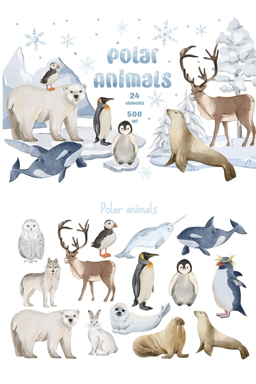 Polar Animals Clipart PNG