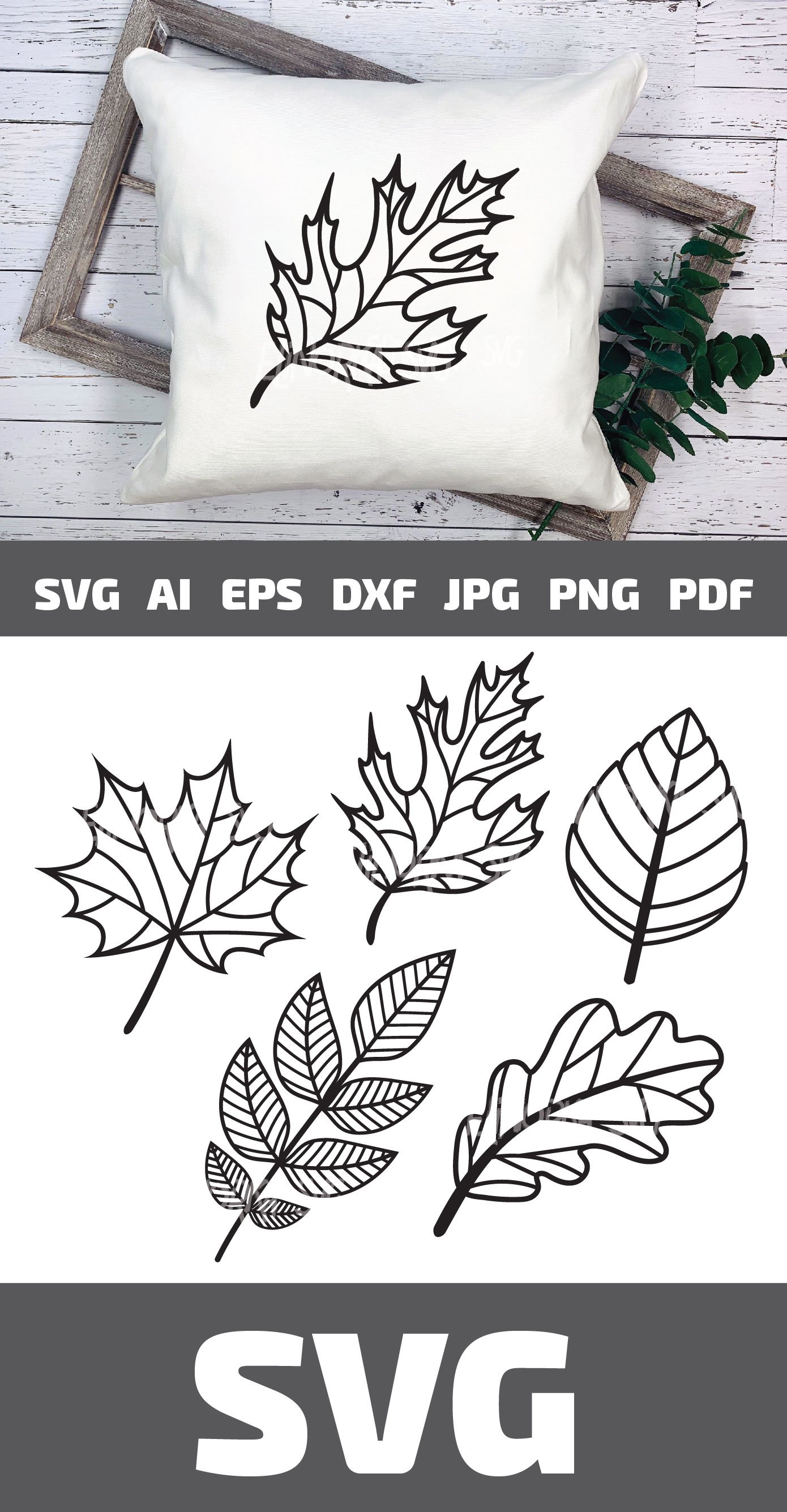 Fall Leaf Collection SVG | Fall Design SVG | Cut (850651)