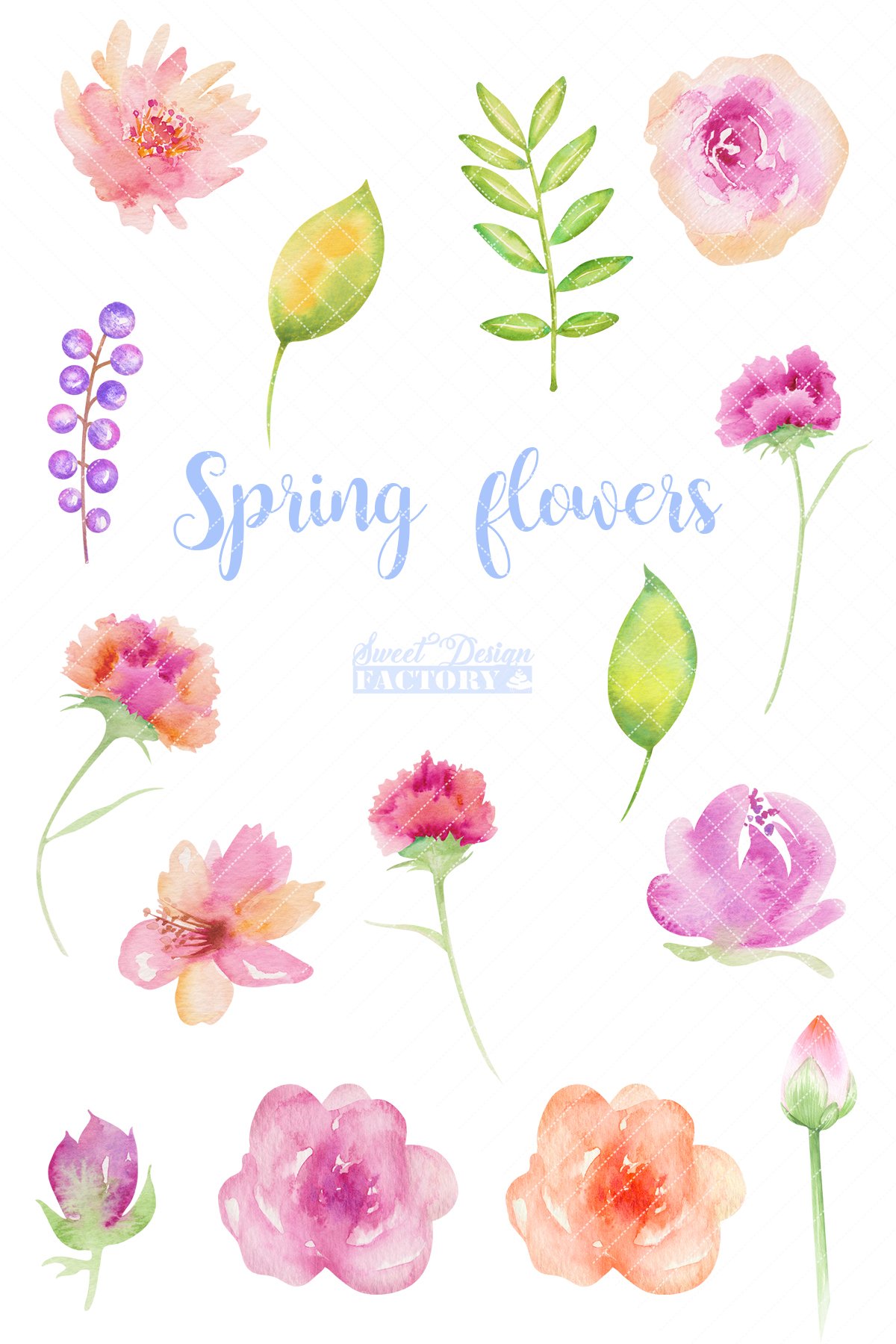 Watercolor floral clipart, spring sublimation designs
