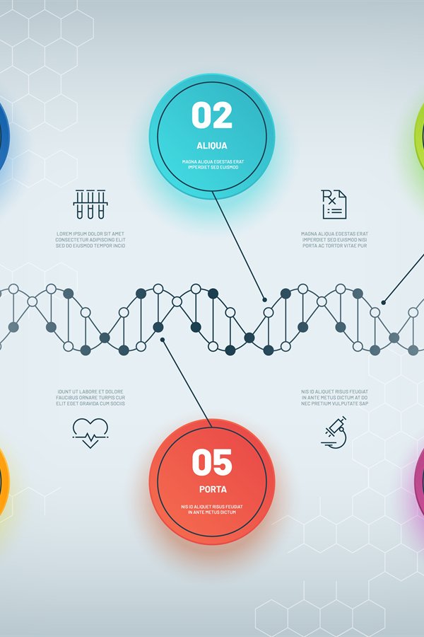 DNA infographic. Molecular chain diagram, medical step infog