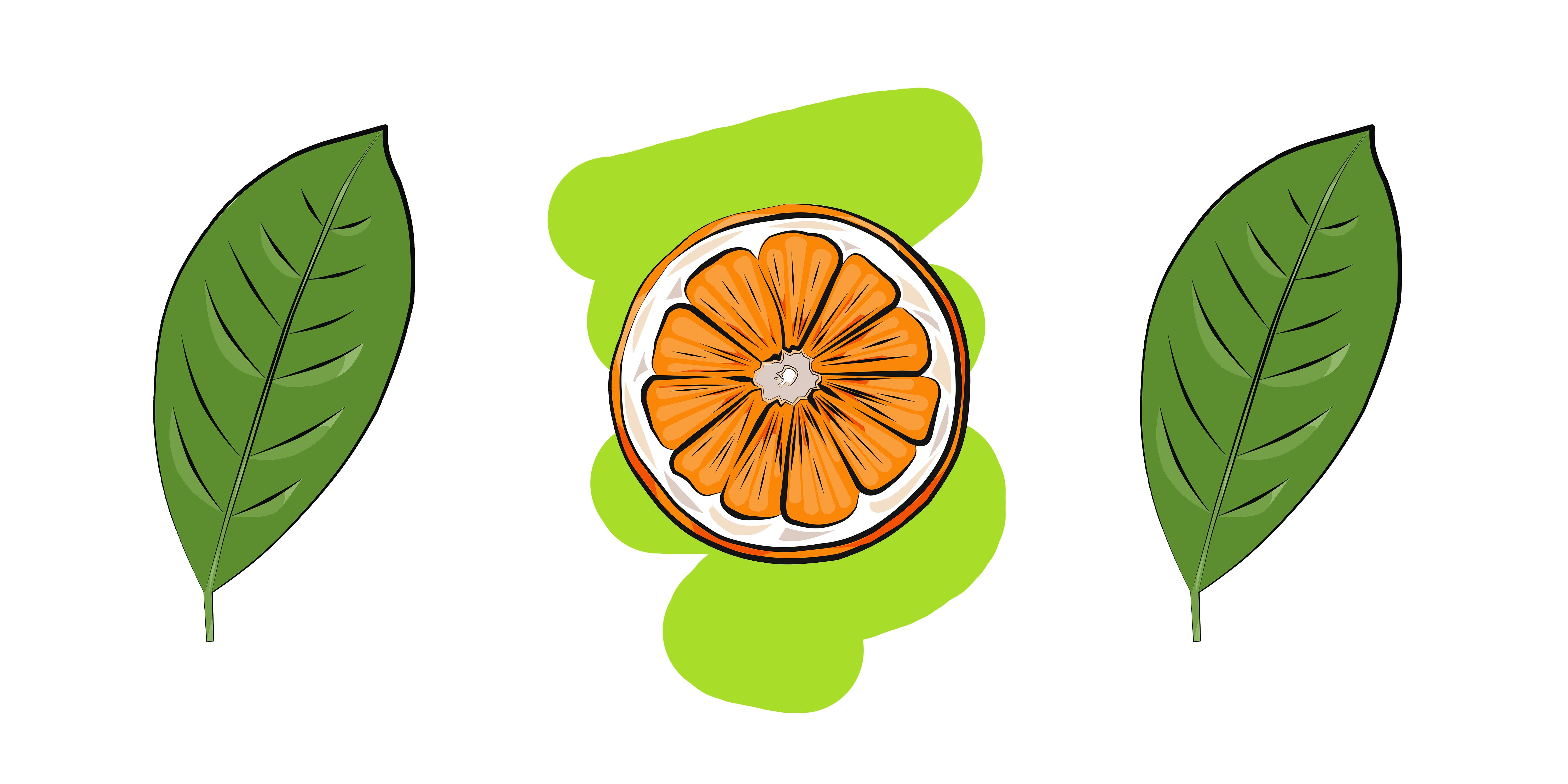 The Citrus collection.