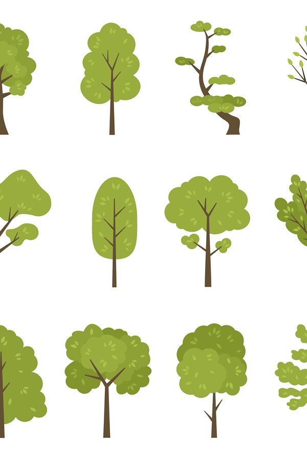 Flat forest trees icons, garden or park landscape elements.