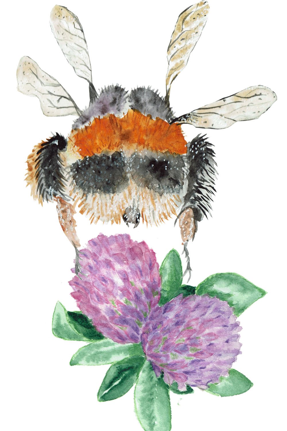 Bee Garden Watercolor Clipart png Bumblebee wildflower