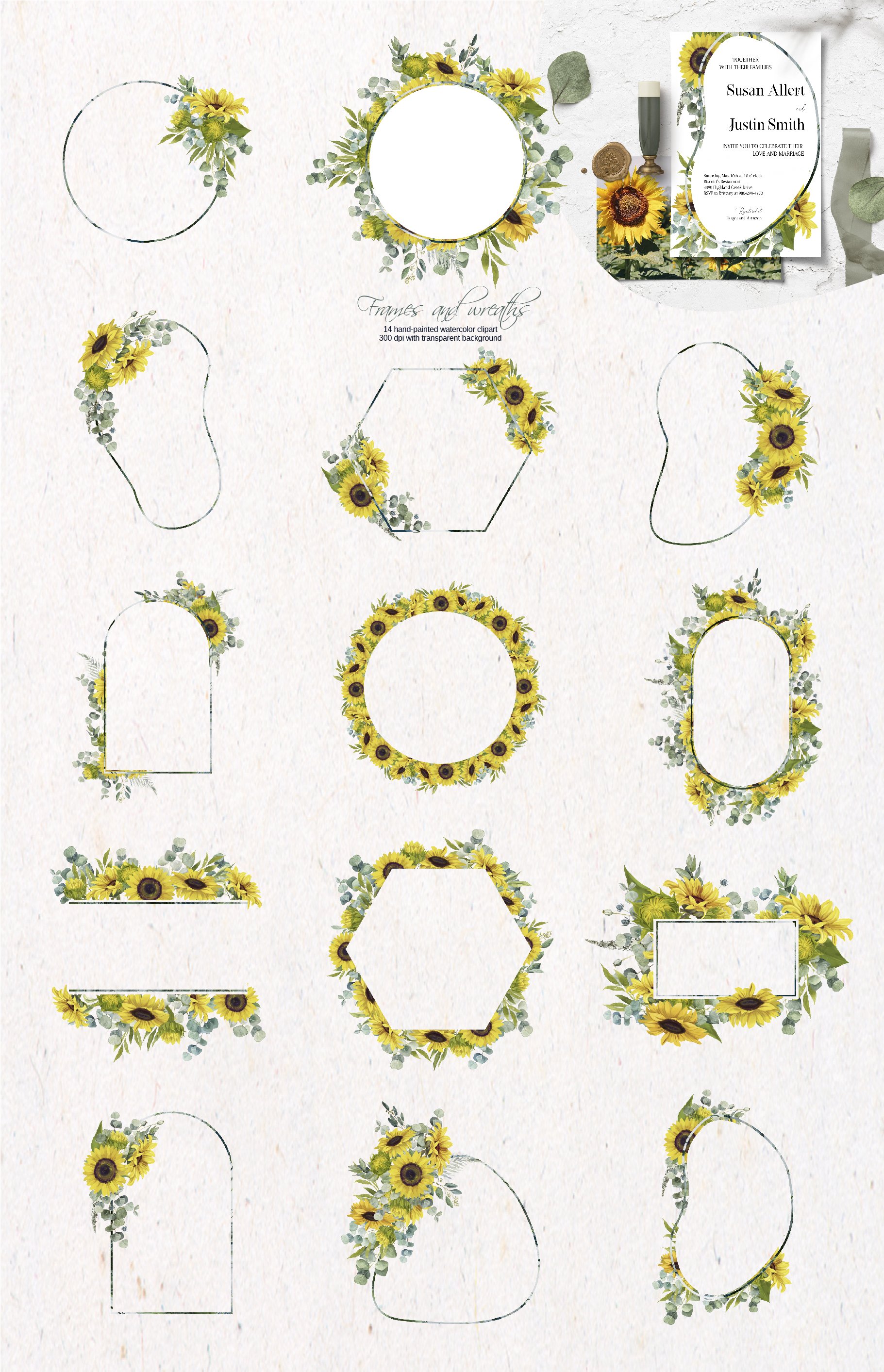 Sunflower Eucalyptus. Watercolor set