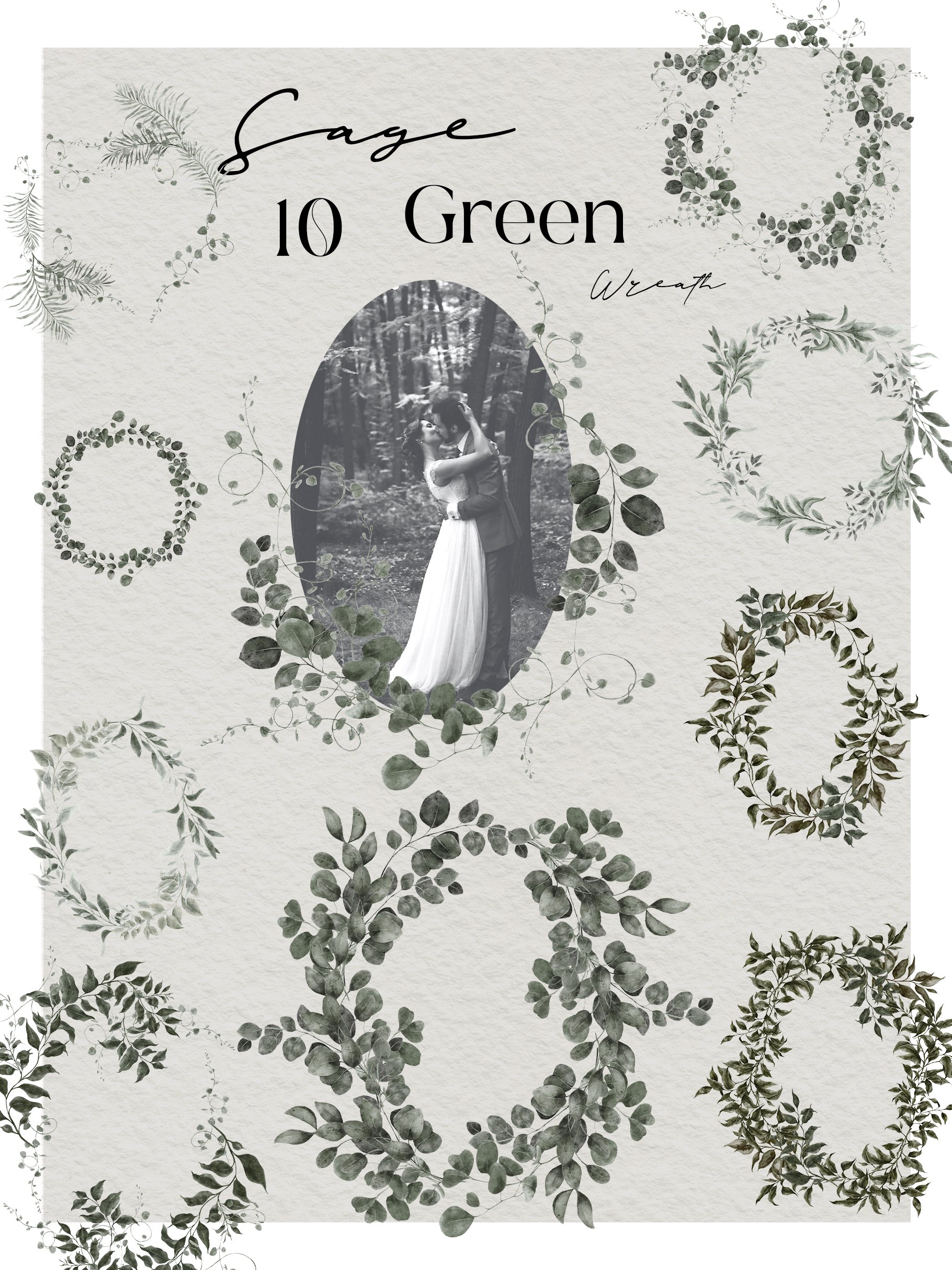 Sage green. Watercolor hand draw graphic