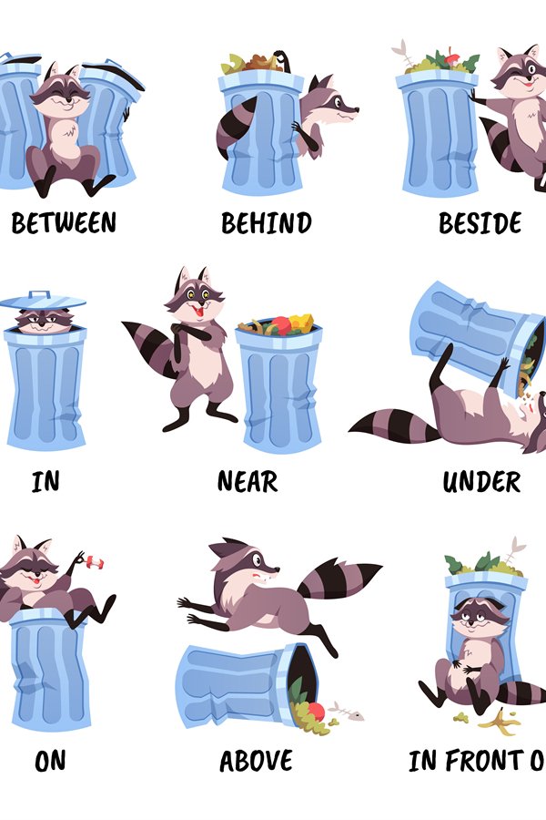 English prepositions. Funny raccoon and garbage can, languag