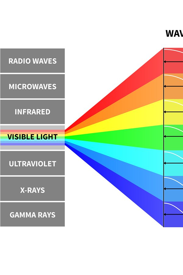 Visible light spectrum. Color waves length perceived by huma