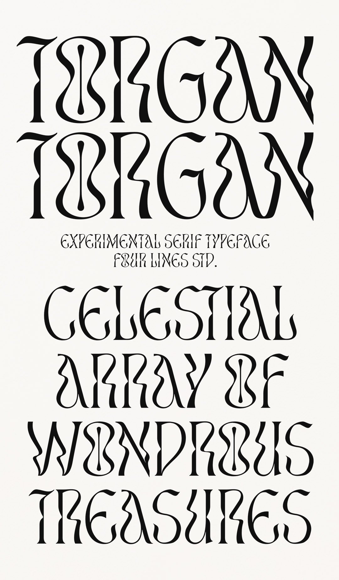 Torgan Experimental Serif Font