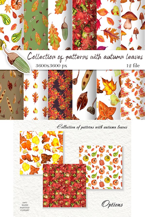 Autumn Watercolor Digital Papers, Fall Leaves, (893310)