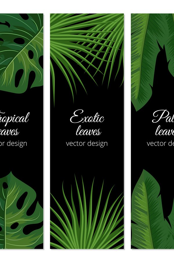 Tropical exotic leaves vector banners template set