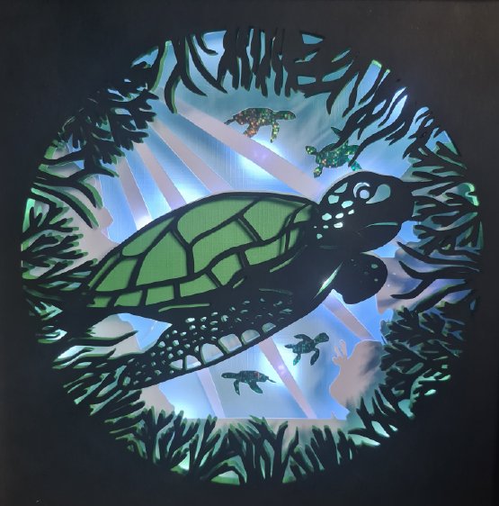 turtle deep sea fish nature 3d layered shadow box light box