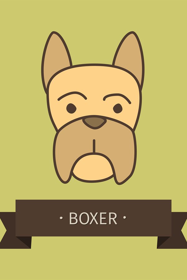 Boxer breed dog for logo design