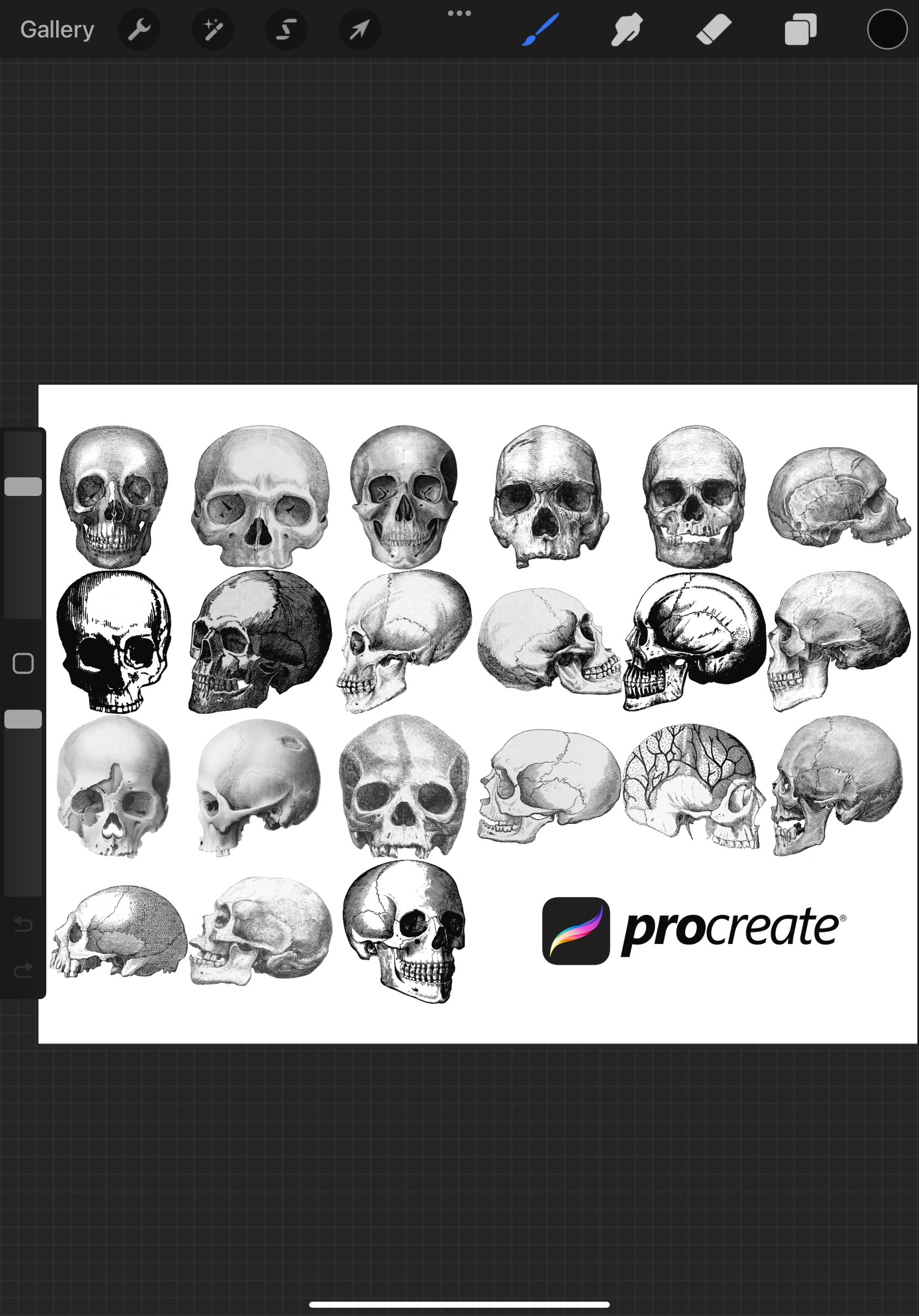 Vintage Skulls Set 2 Procreate Brush Stamp, 21Skull Stamps