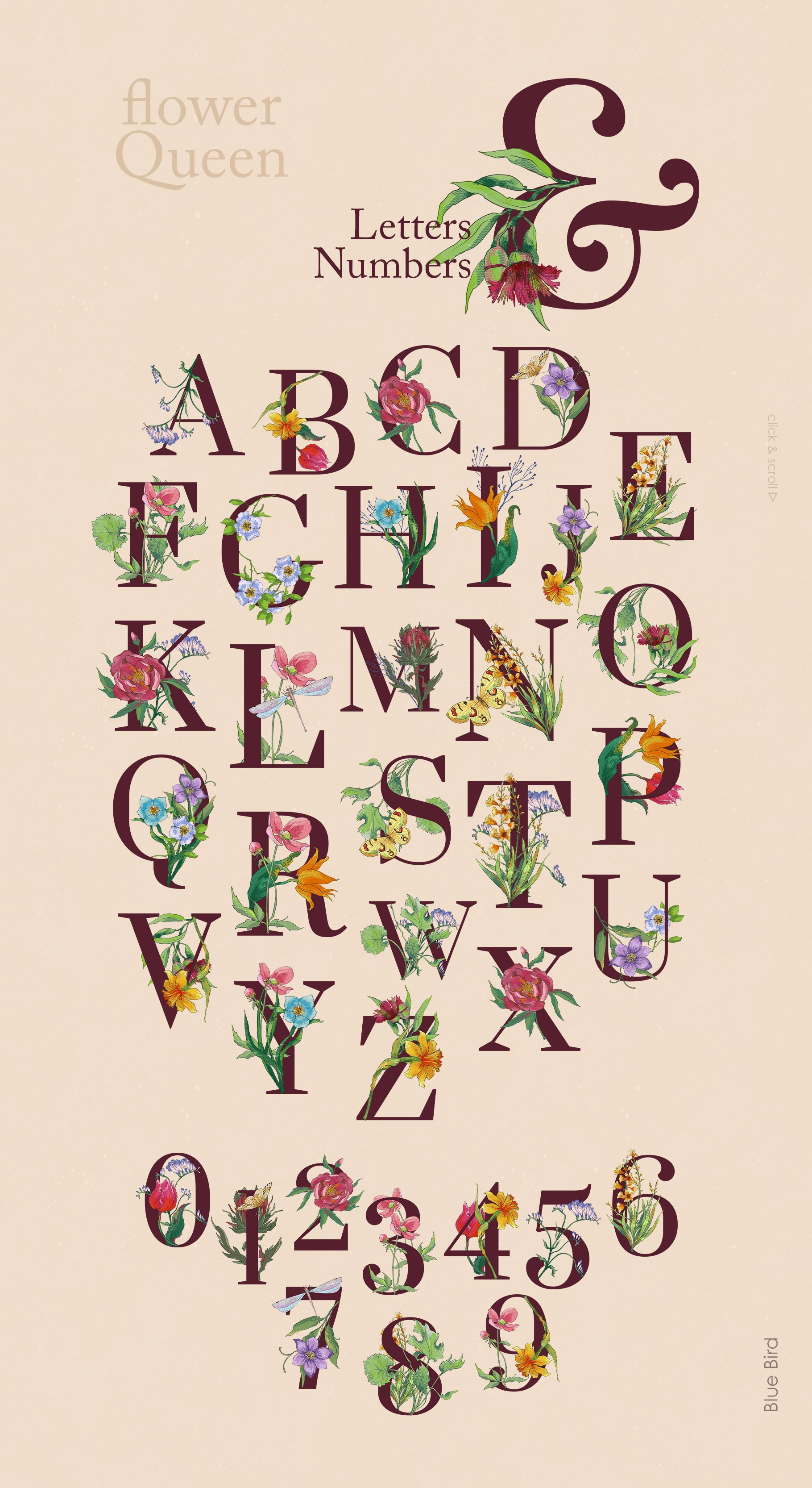 Botanical vintage letters, numbers and symbols