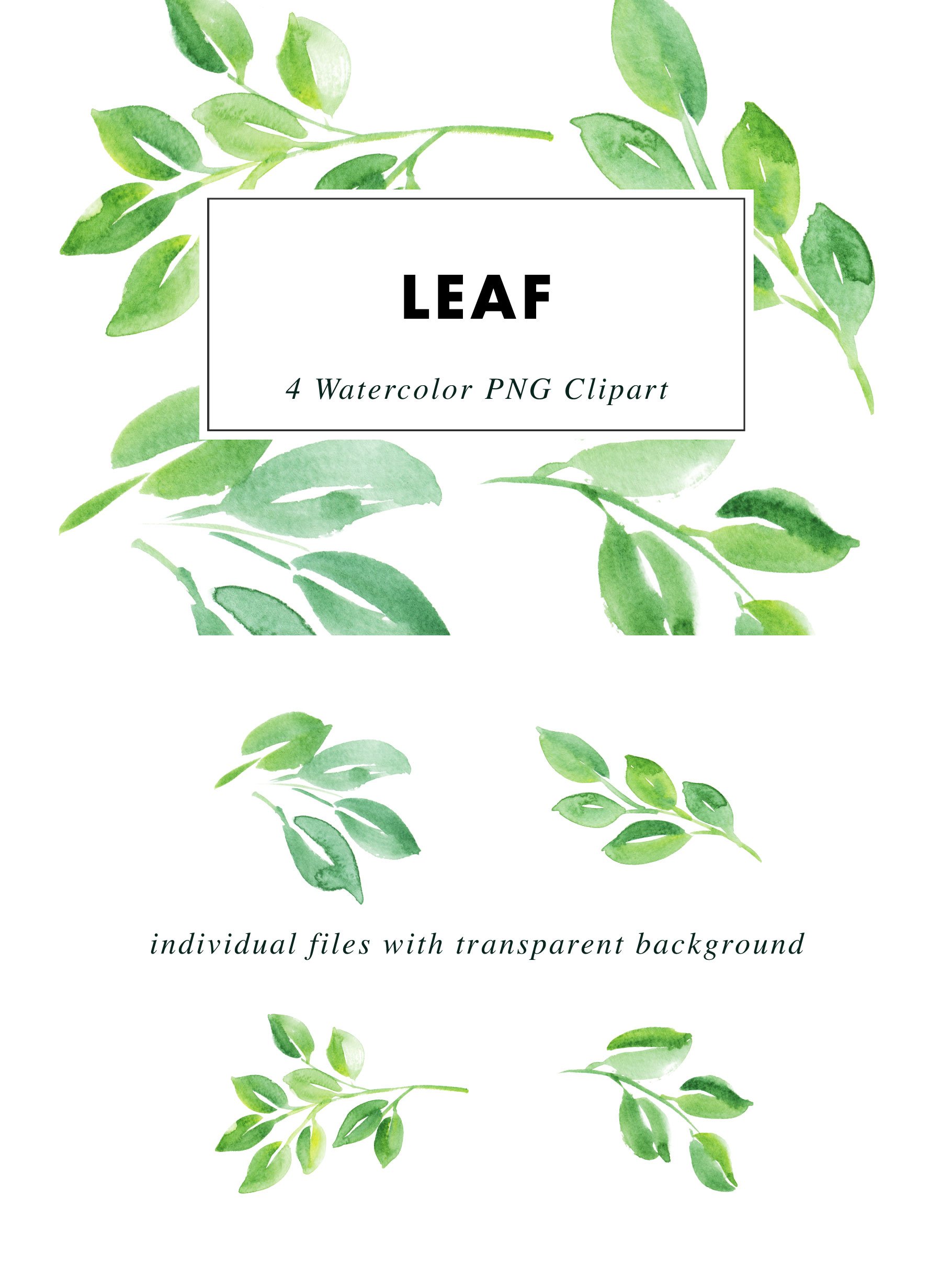 Watercolor leaves | Clipart PNG Illustrations (909004)