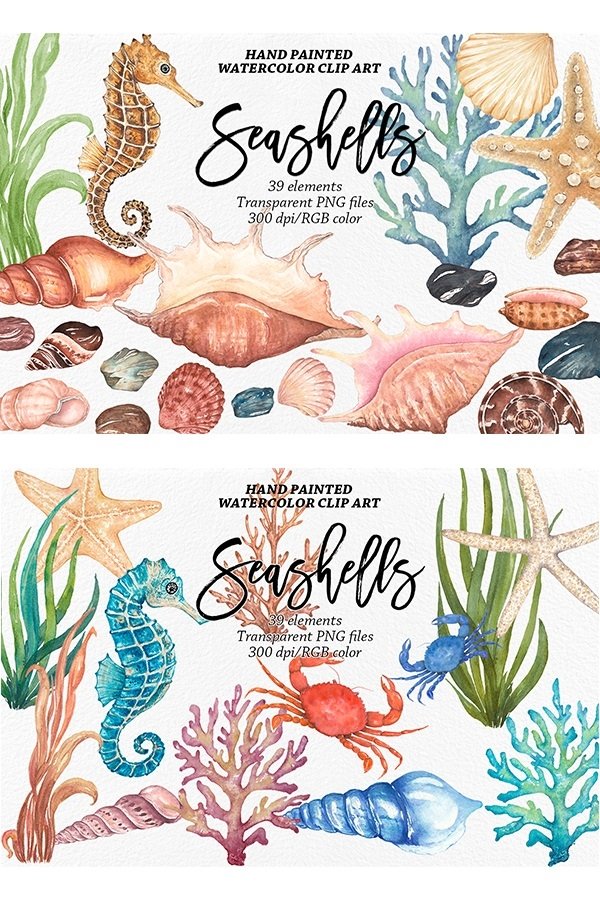Watercolor Seashells Clip Art , Nautical Clipart