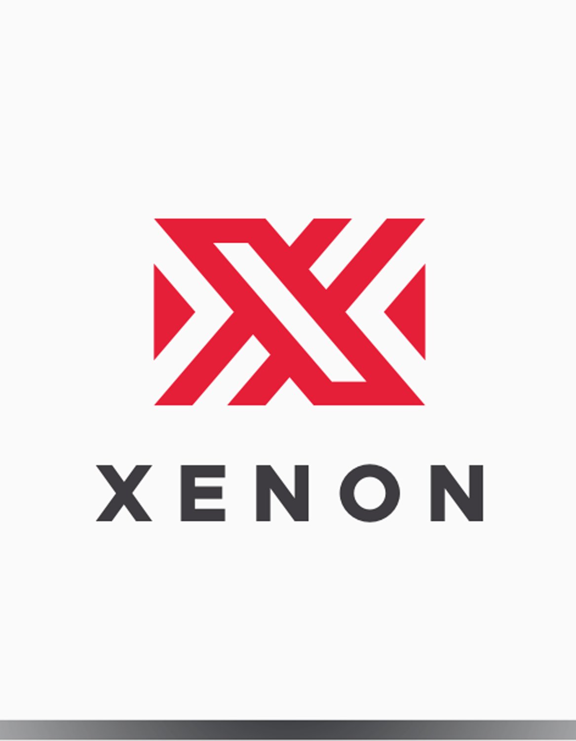 Xenon Letter X vector logo design template (3166416)