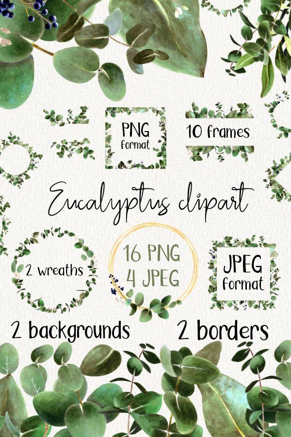 Eucalyptus clipart. Frames, borders, wreaths PNG