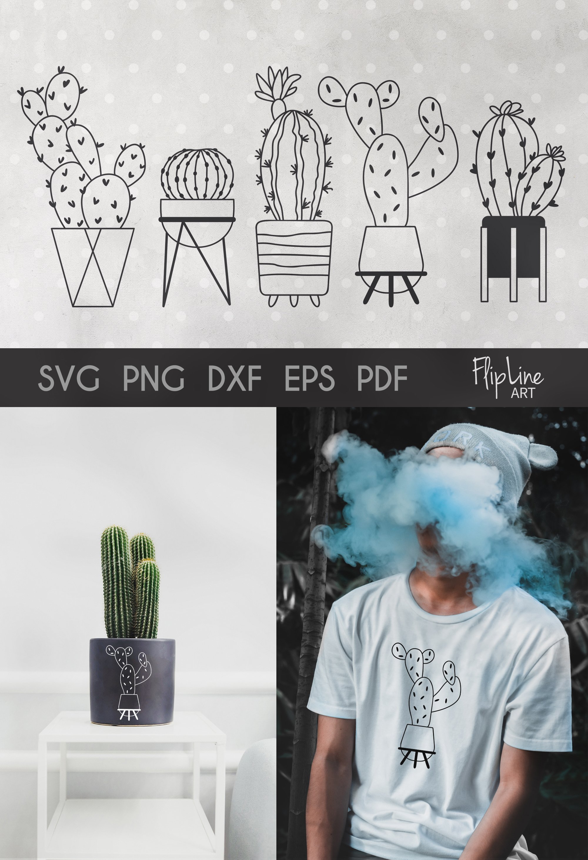 Boho Cactus SVG & PNG clipart bundle, Home Plant, Succulent