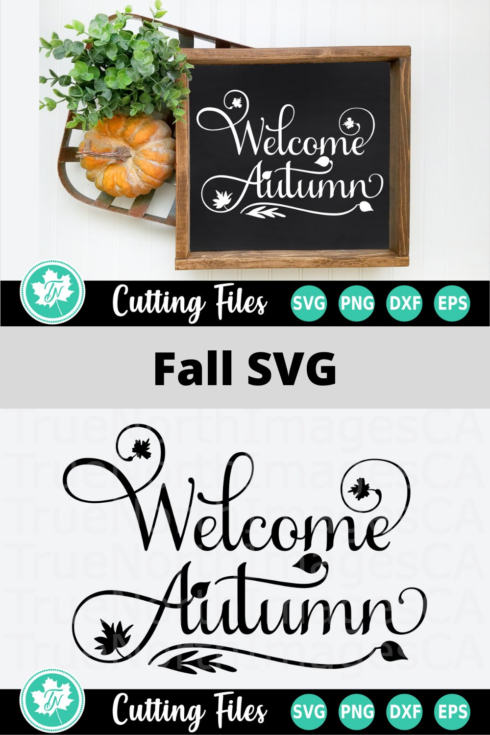 Fall SVG | Fall Sign SVG | Welcome SVG (864722)