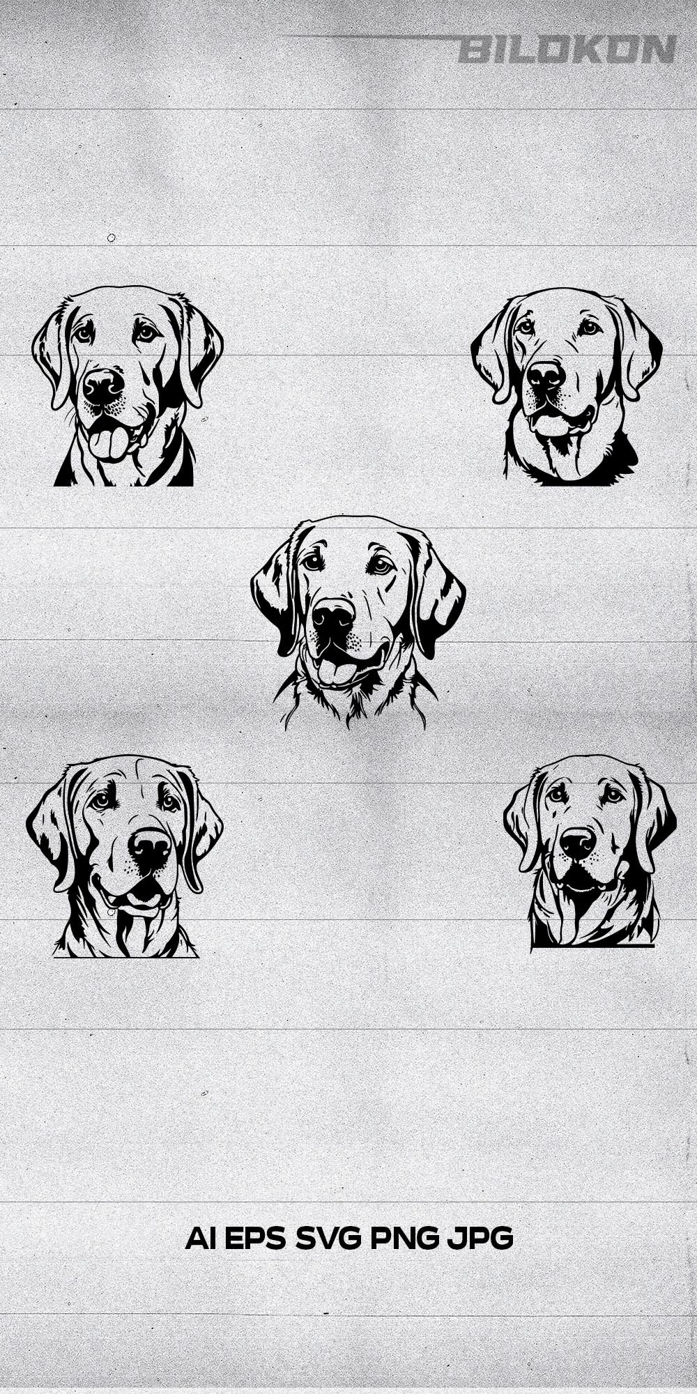 Labrador dog head, SVG, Vector, Illustration, SVG Bundle