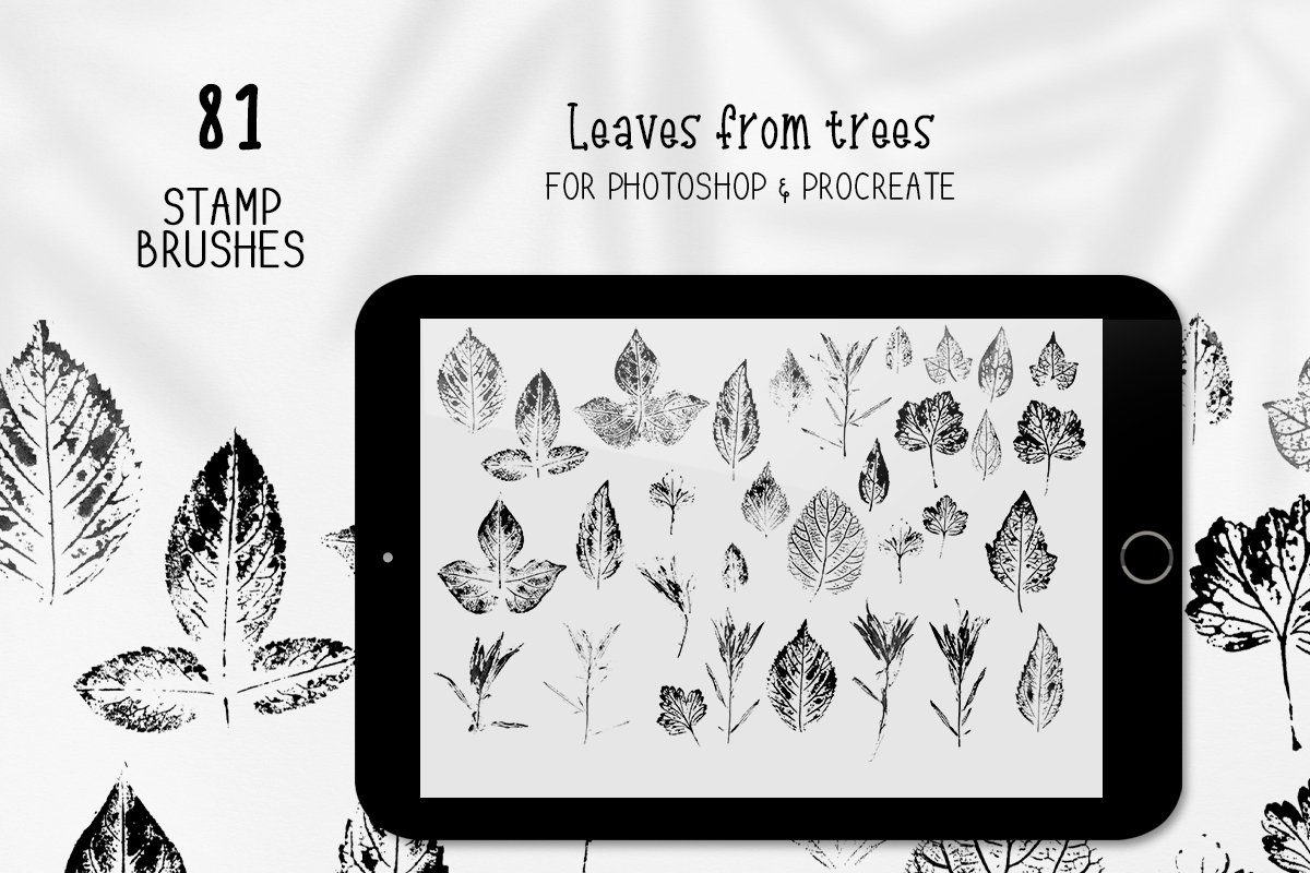 Stamp Brushes/Leaves from trees for Photoshop end Procreate