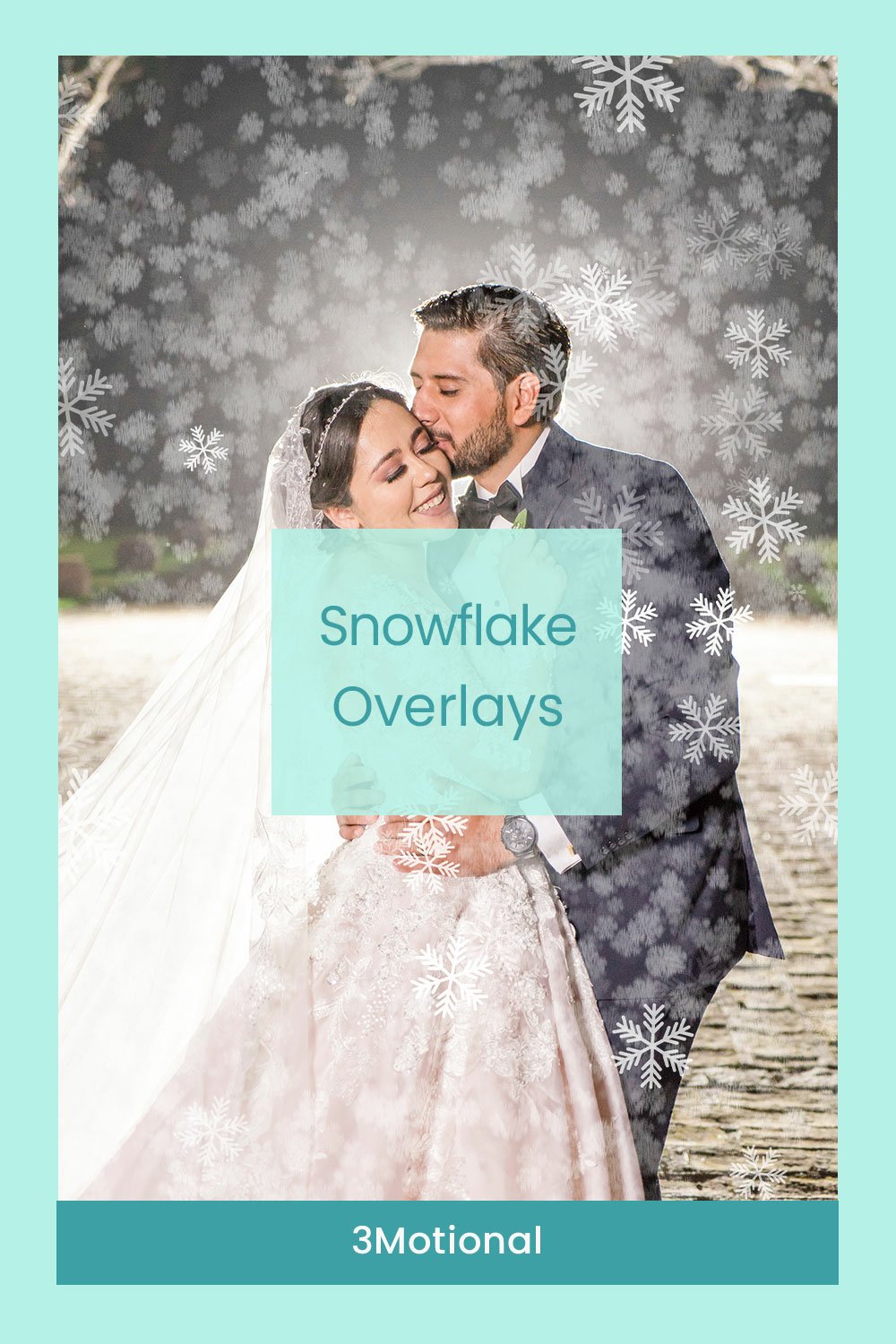 20 Snowflake Photoshop Overlays