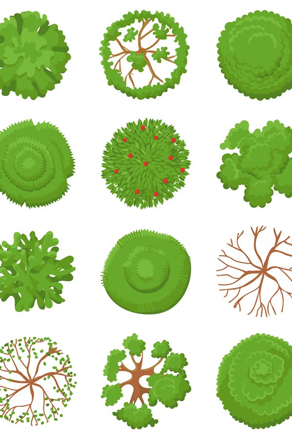 Top view tree. Planting green trees, park map vegetation and