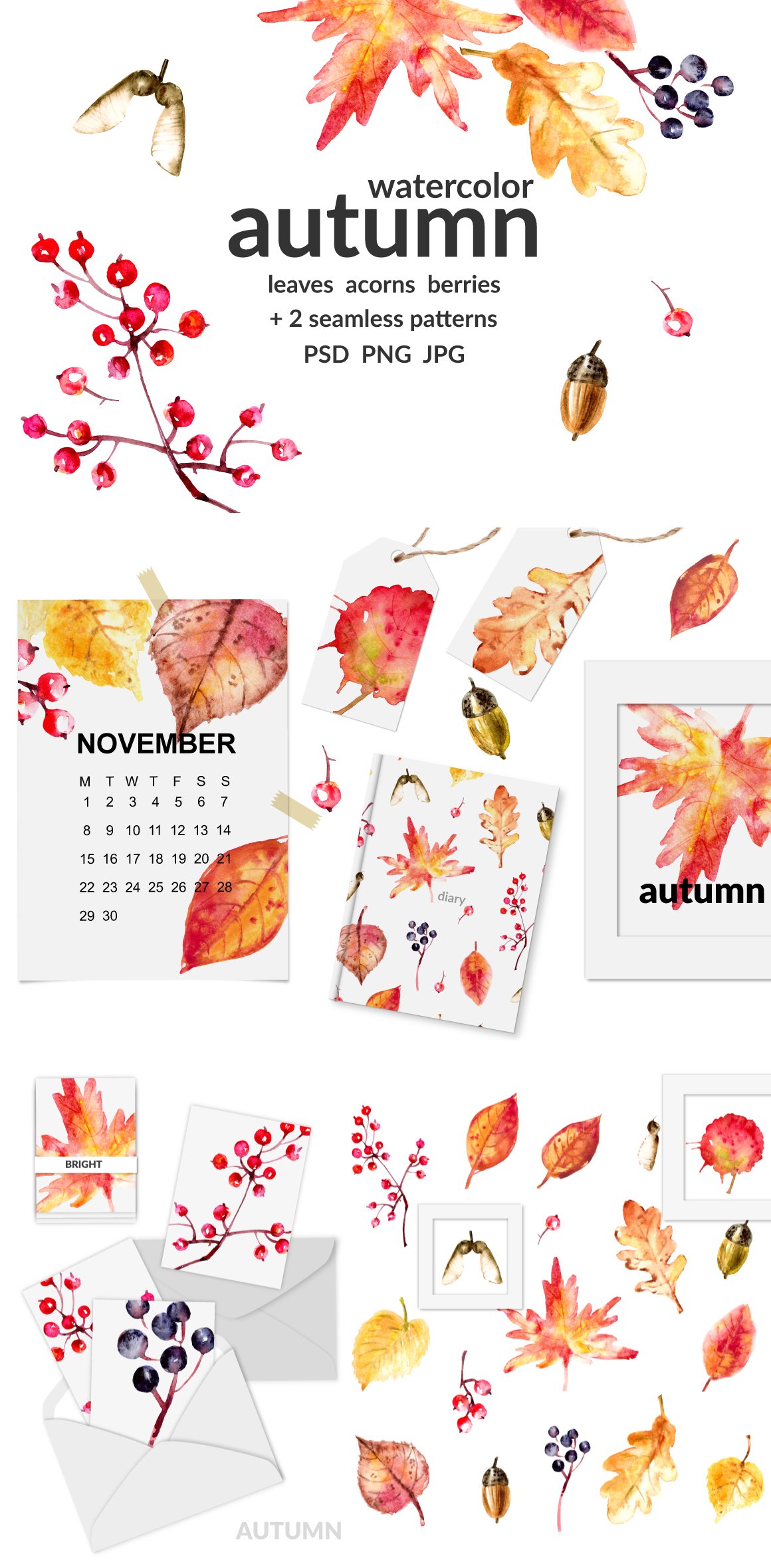 Autumn nature watercolor set of leaves, acorns, maple seeds