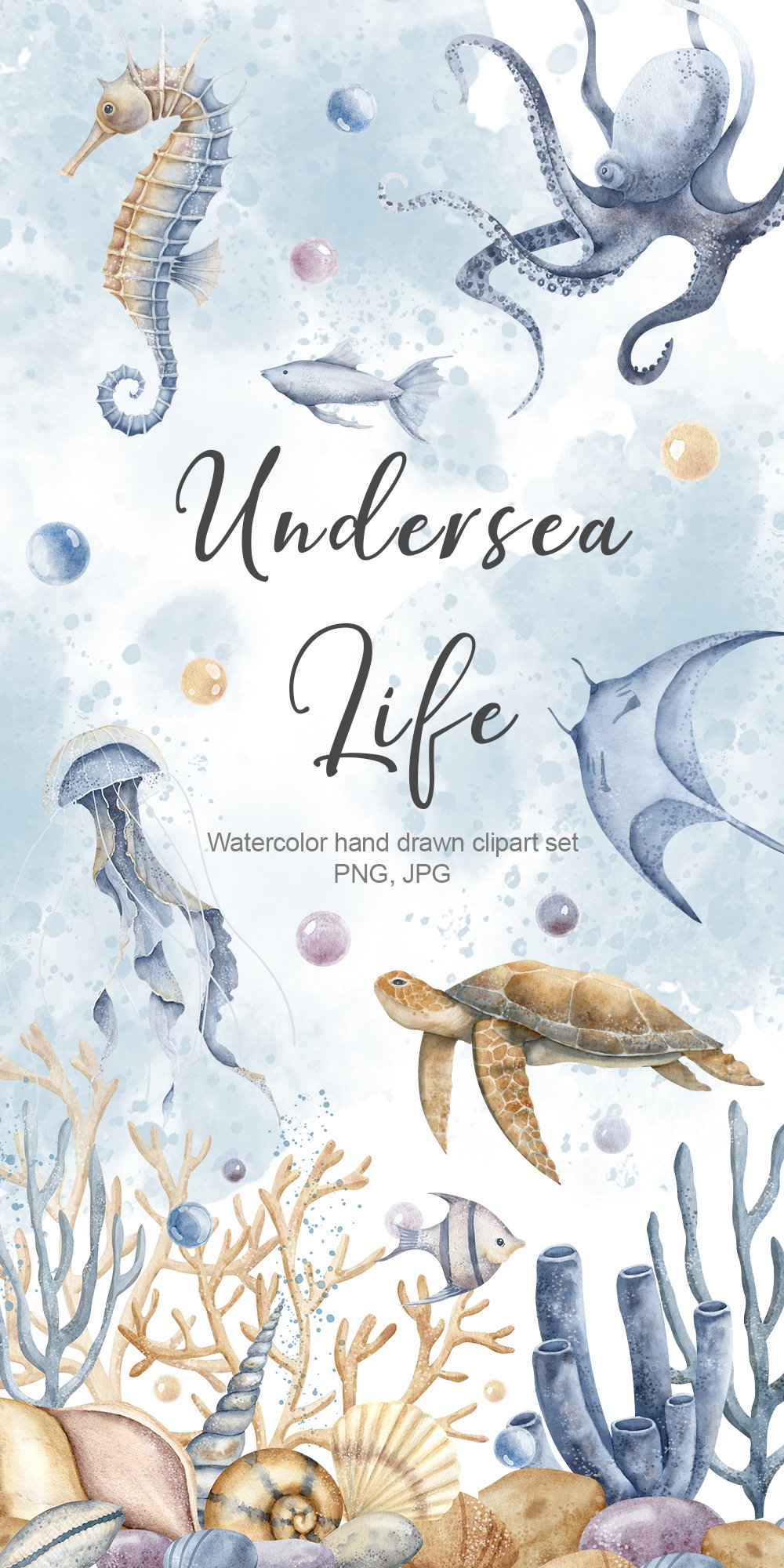 Sea animals watercolor clipart set | Ocean life with shells