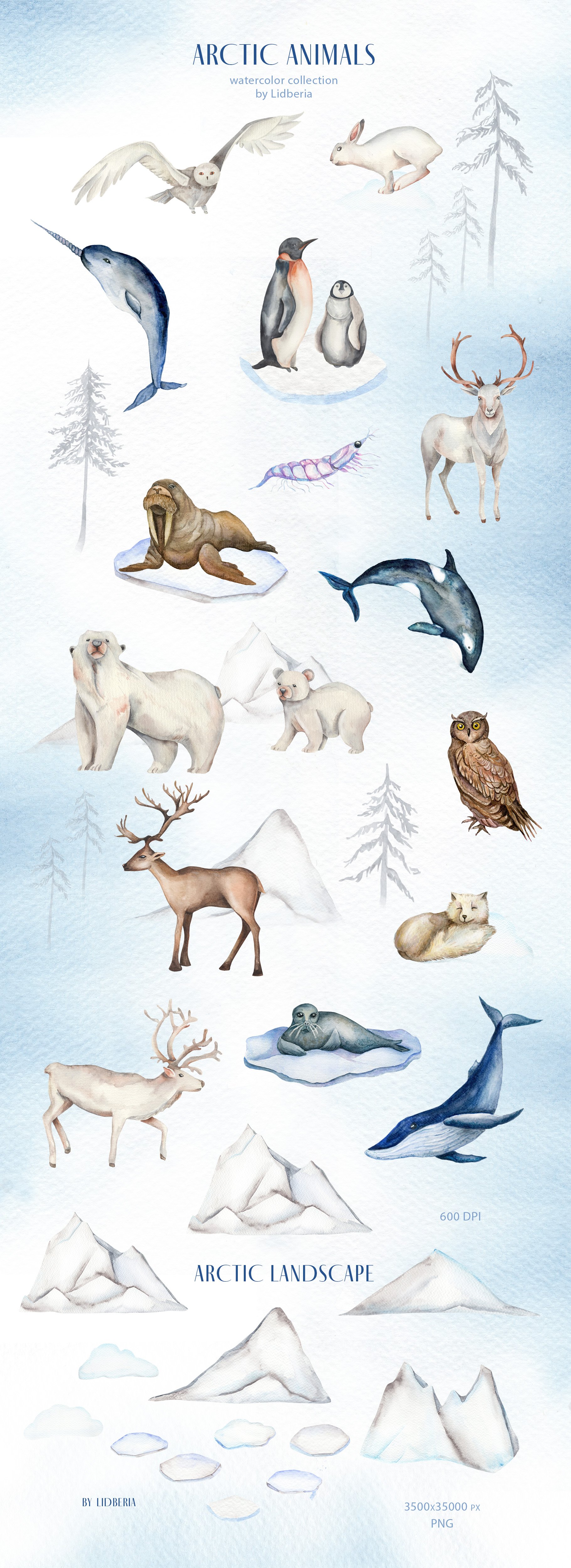 Arctic Animals Watercolor Cliparts. Winter Forest Animals