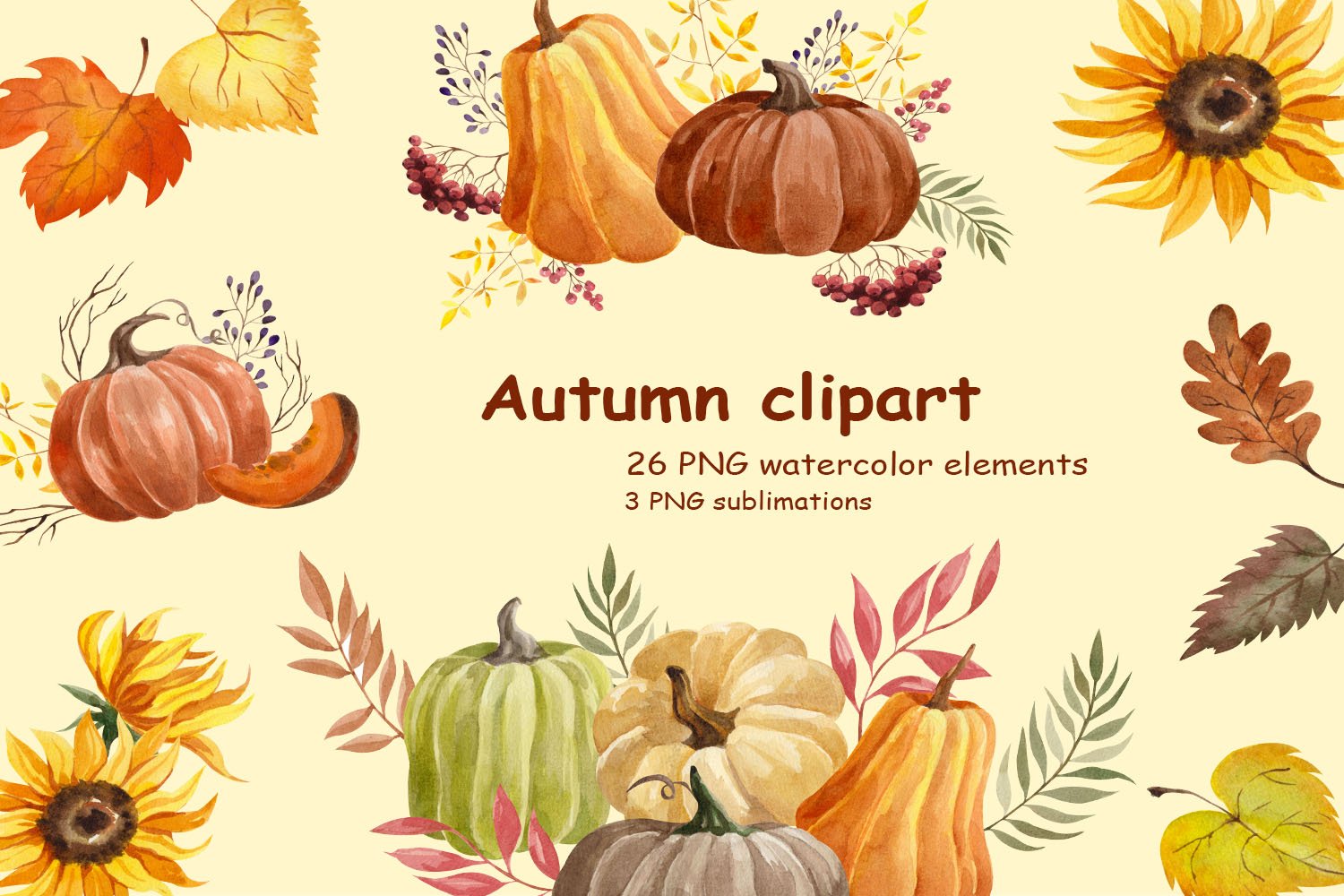 Watercolor Autumn clipart / Leaves and Pumpkins PNG