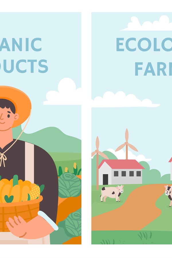 Farm posters. Agriculture field, agronomy and stock concept.
